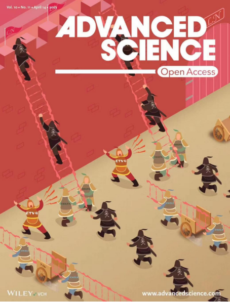 林天歆/陈旭团队揭示中性粒细胞促膀胱癌淋巴转移新机制，相关研究成果在Advanced Science杂志发表 | 中山大学孙逸仙纪念医院